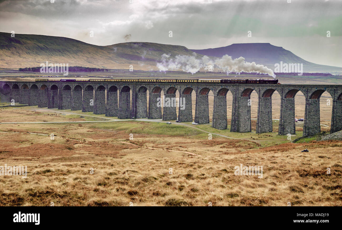 Elizabeth carlisle hi-res stock photography and images - Alamy