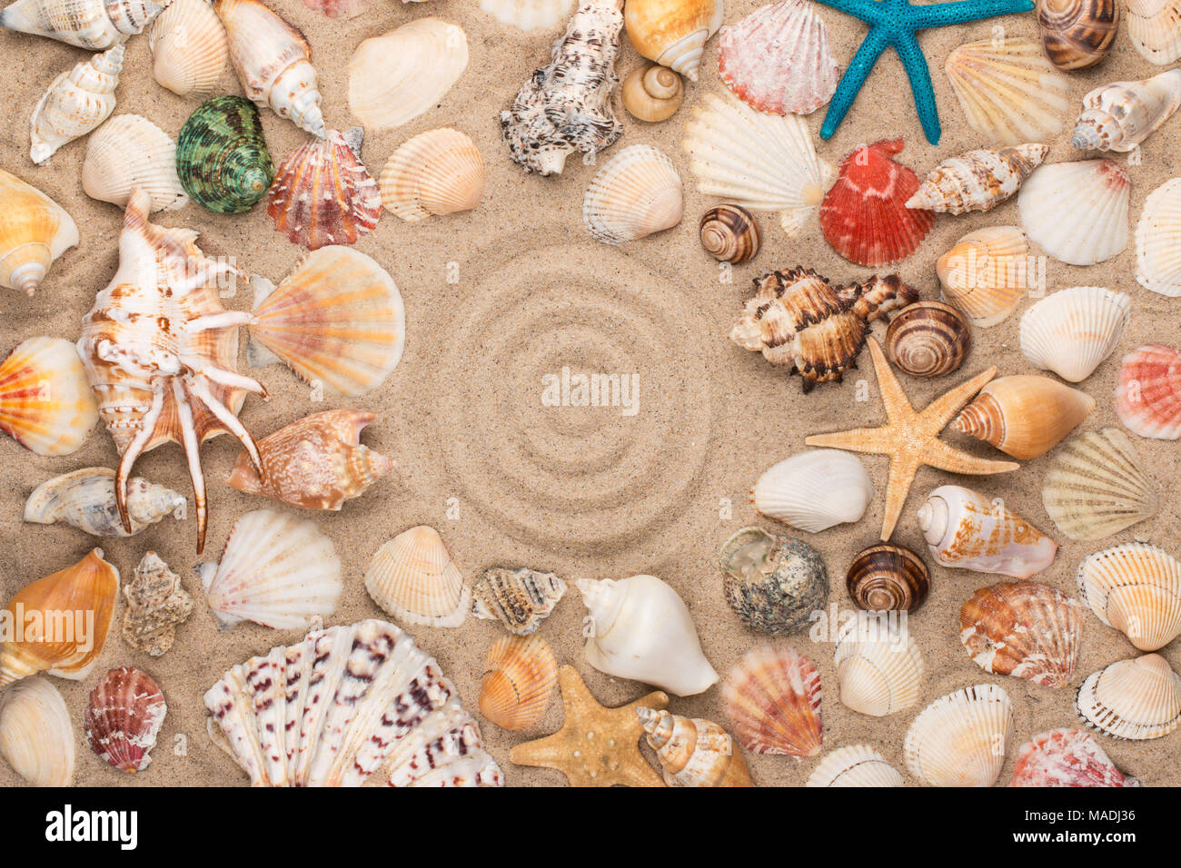 Circle made of sand, frame of seashells and stars. With space for the ...