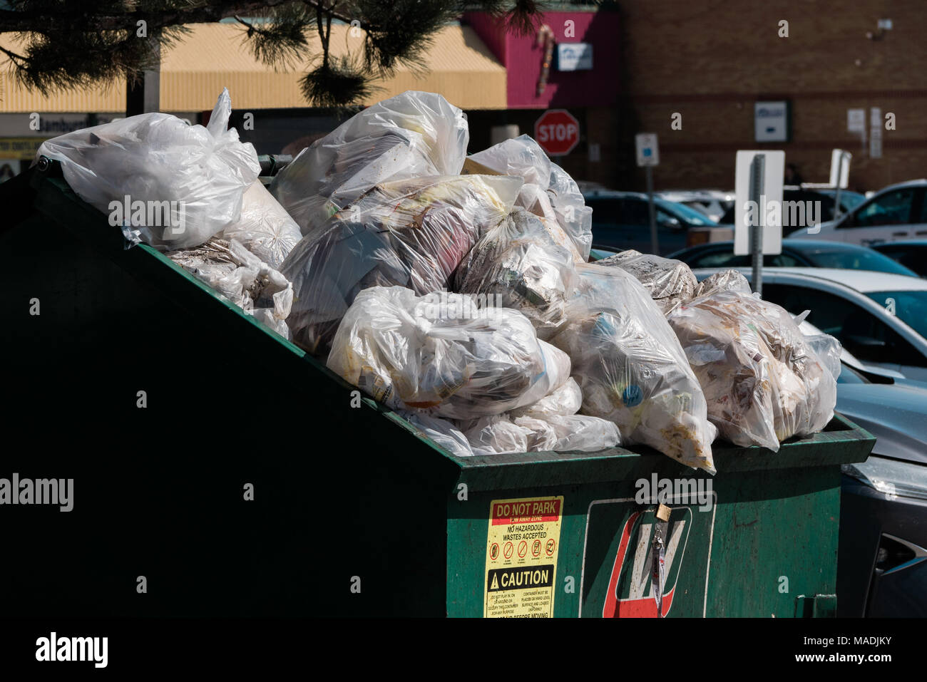 overflowing commercial garbage bin Stock Photo - Alamy