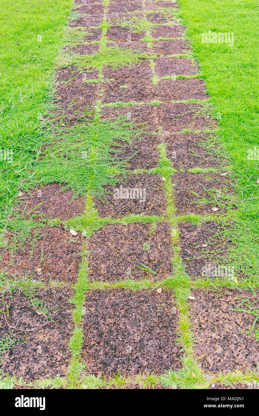 Stone pathway on grass Stock Photo - Alamy