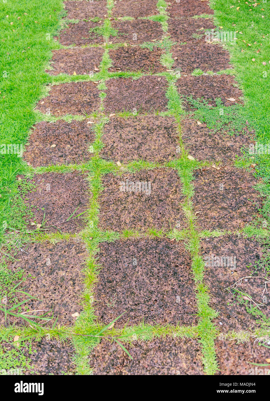 Stone pathway on grass Stock Photo - Alamy
