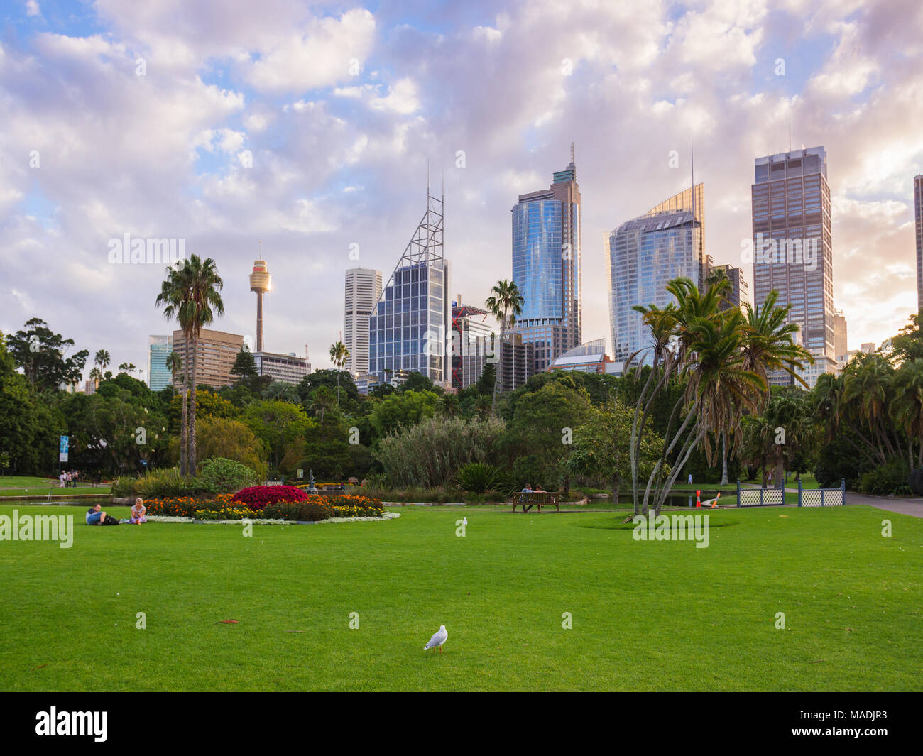 April 1st, 2018, Sydney, Australia - Royal Botanic garden landscape on ...