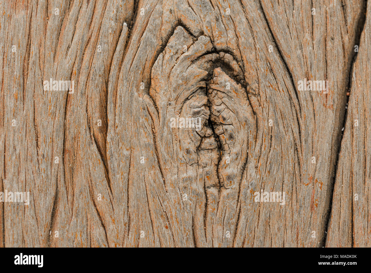 Old dry grained wood with cracks Stock Photo - Alamy