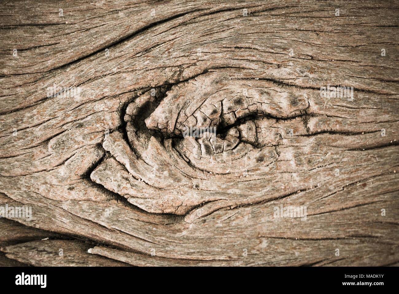 Old dry grained wood with cracks Stock Photo - Alamy