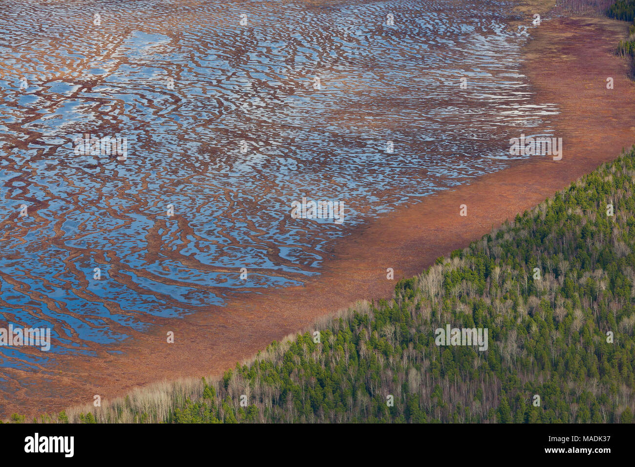 Top view of the swamp during spring Stock Photo - Alamy