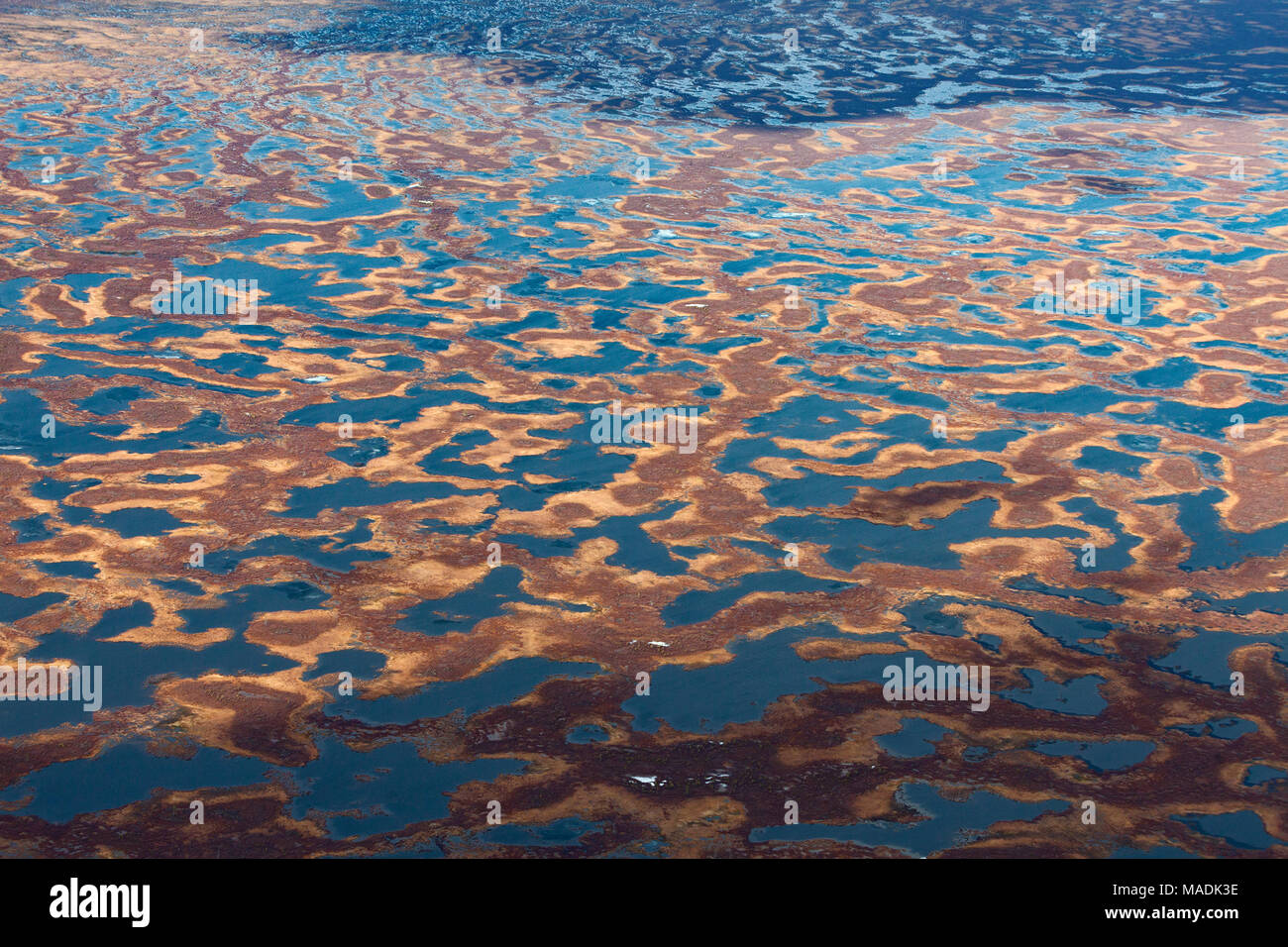 swamp, top view Stock Photo - Alamy