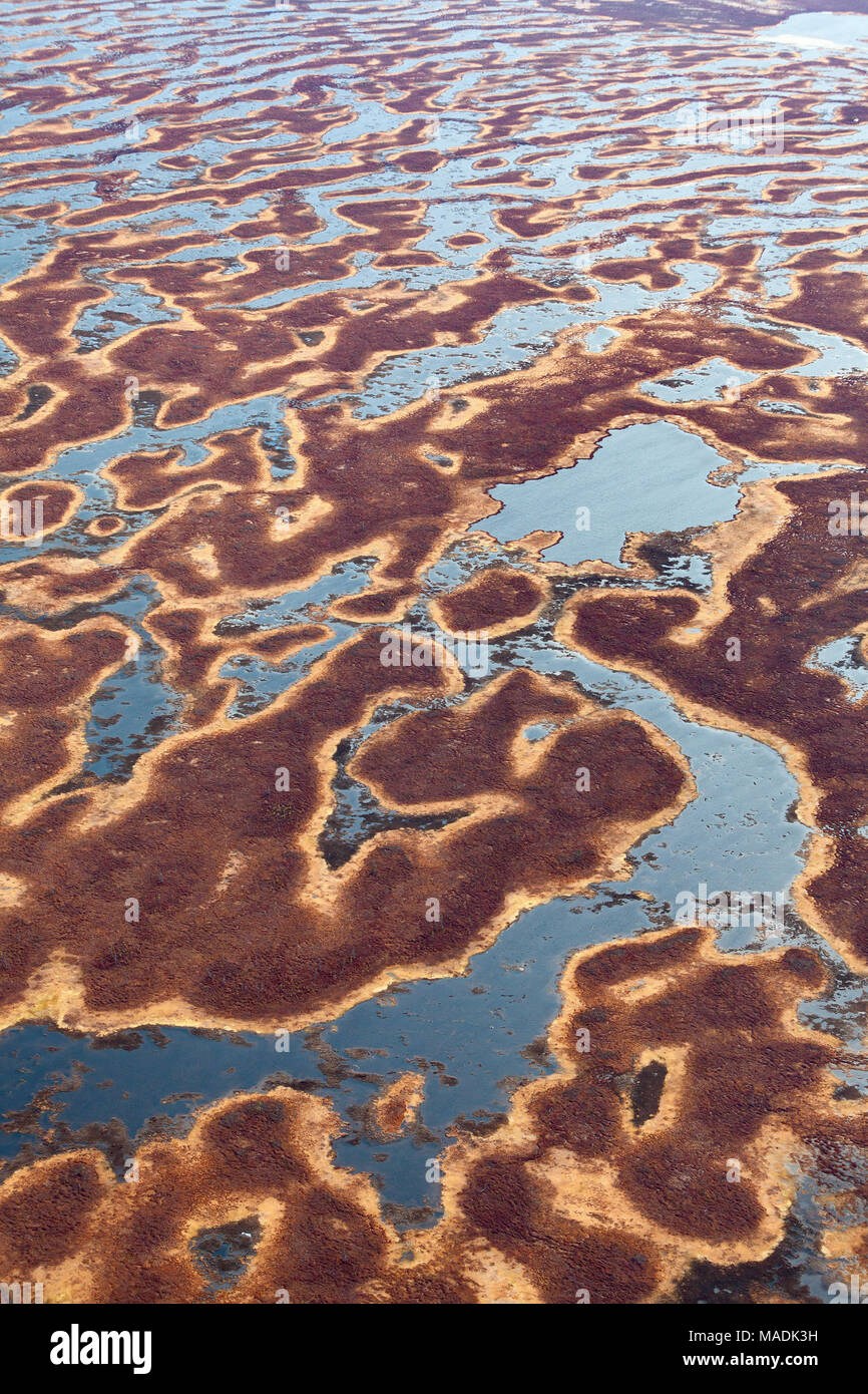 swamp, top view Stock Photo - Alamy