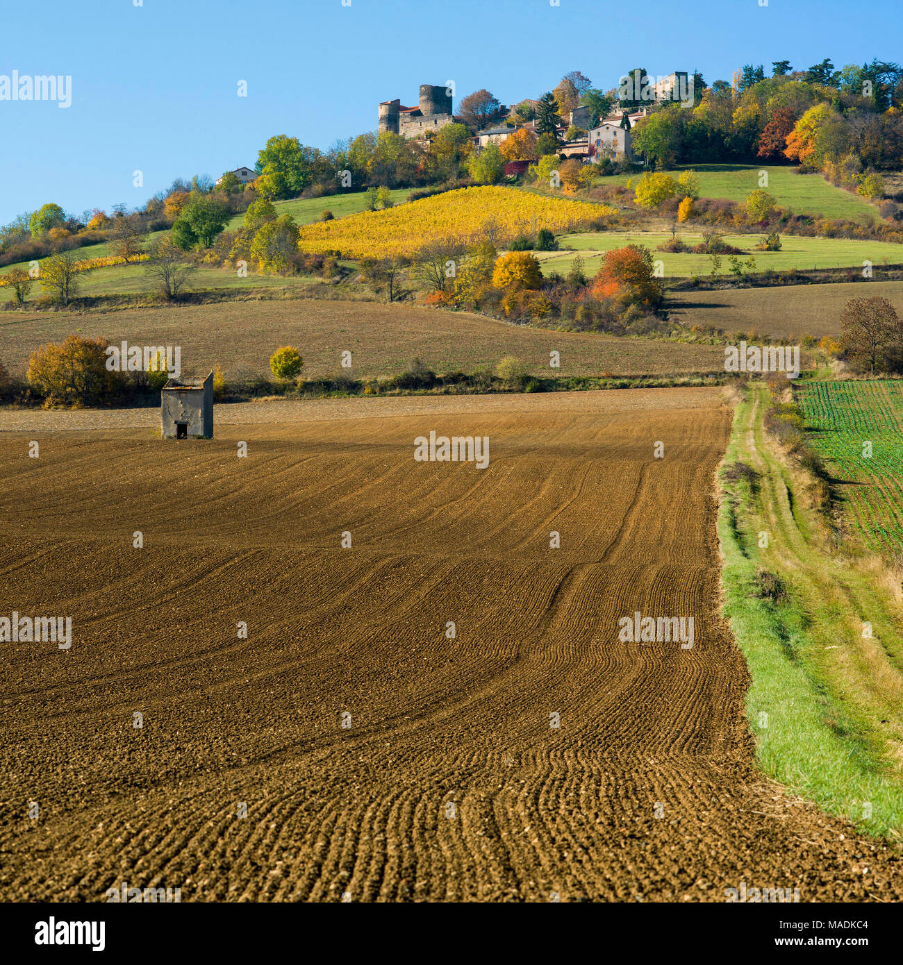Castle of Chalus, Puy de Dome, Auvergne, France Stock Photo - Alamy