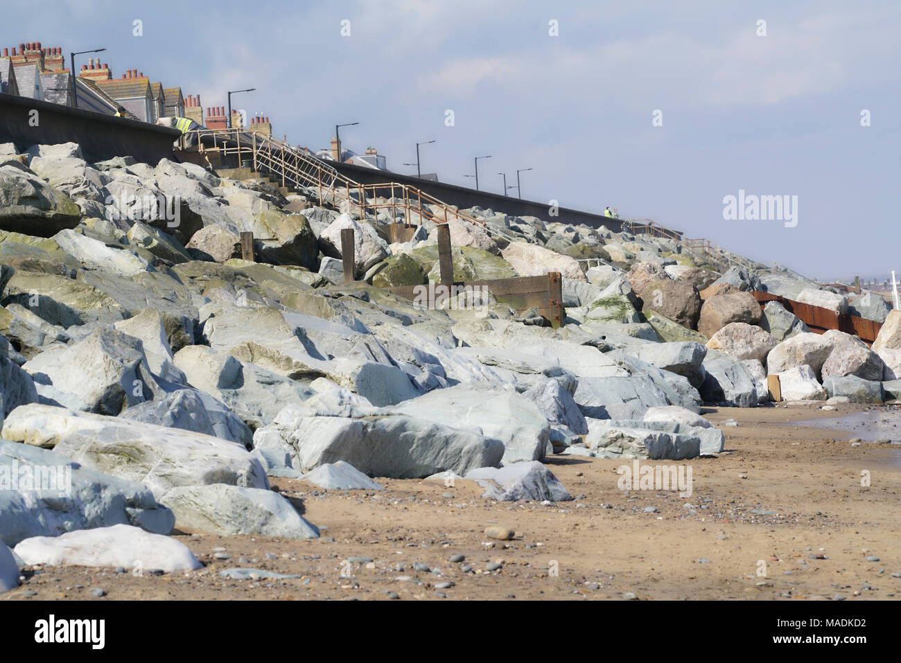 Spurn Bird Sanctuary High Resolution Stock Photography and Images - Alamy