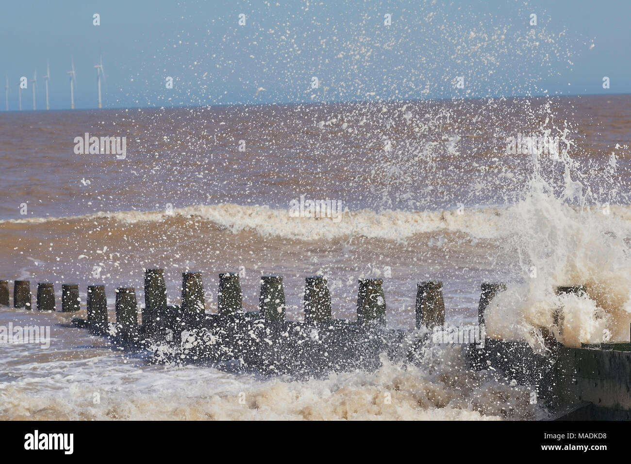 Spurn bird sanctuary hi-res stock photography and images - Alamy