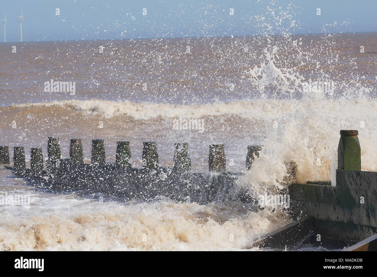 SPURN POINT WTHERNSEA BIRD WATCHING Stock Photo - Alamy
