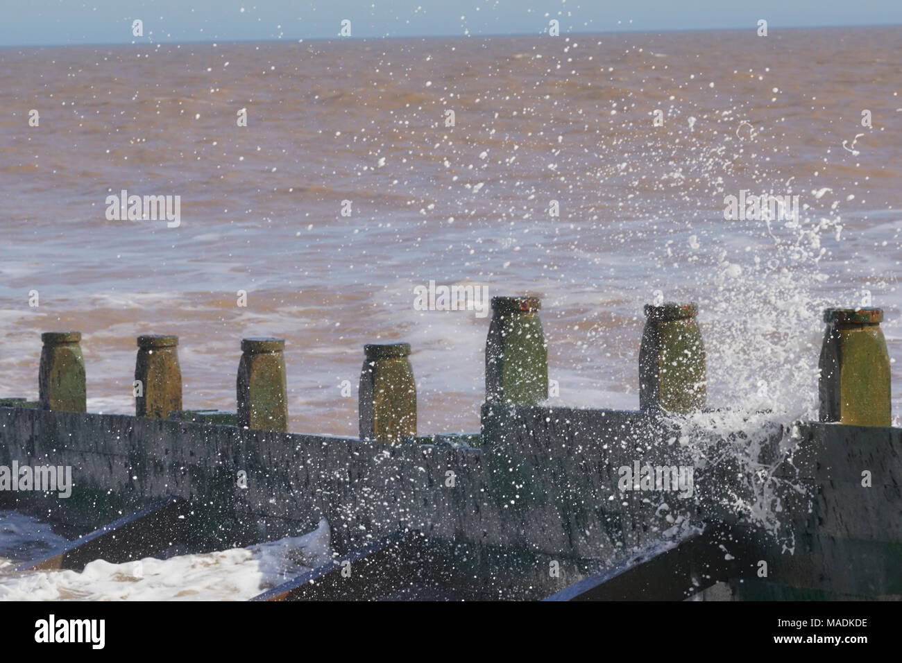 SPURN POINT WTHERNSEA BIRD WATCHING Stock Photo - Alamy