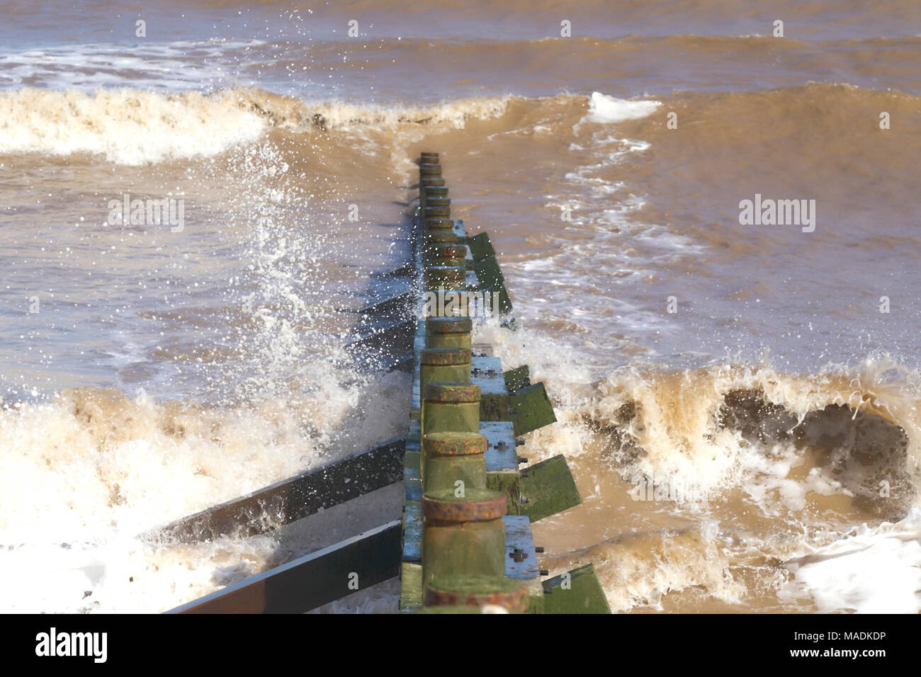 Spurn bird sanctuary hi-res stock photography and images - Alamy