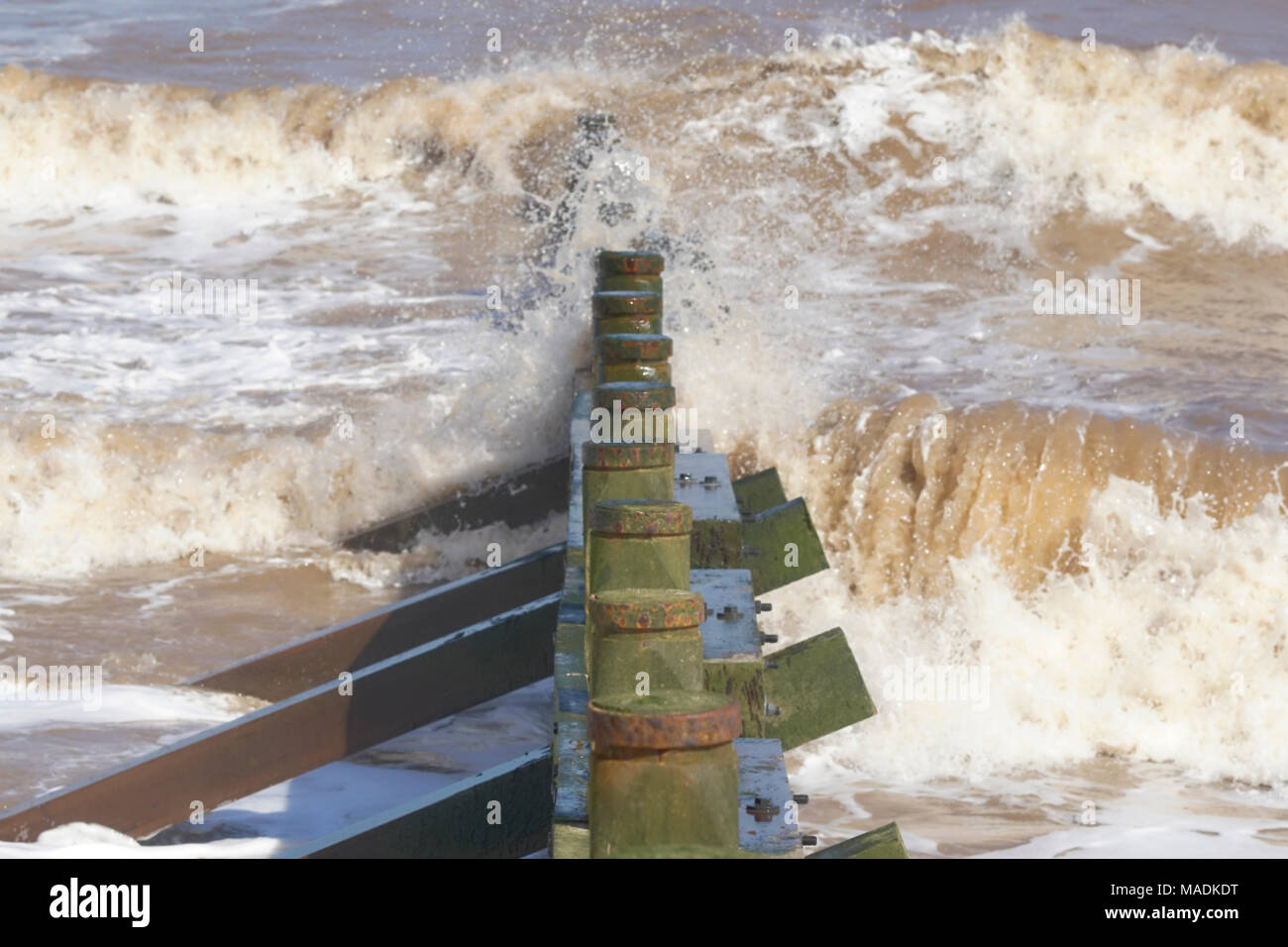 Spurn bird sanctuary hi-res stock photography and images - Alamy