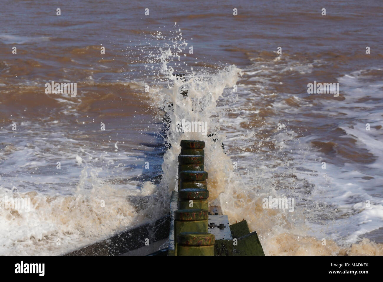 SPURN POINT WTHERNSEA BIRD WATCHING Stock Photo - Alamy