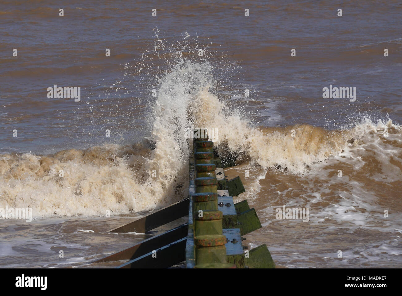 SPURN POINT WTHERNSEA BIRD WATCHING Stock Photo - Alamy