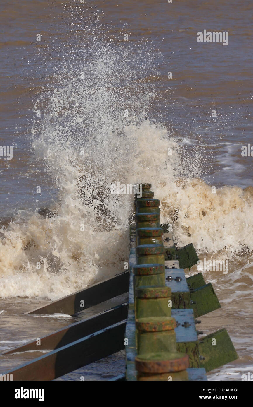 Spurn bird sanctuary hi-res stock photography and images - Alamy