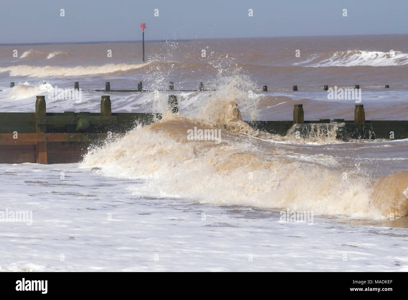 Spurn bird sanctuary hi-res stock photography and images - Alamy