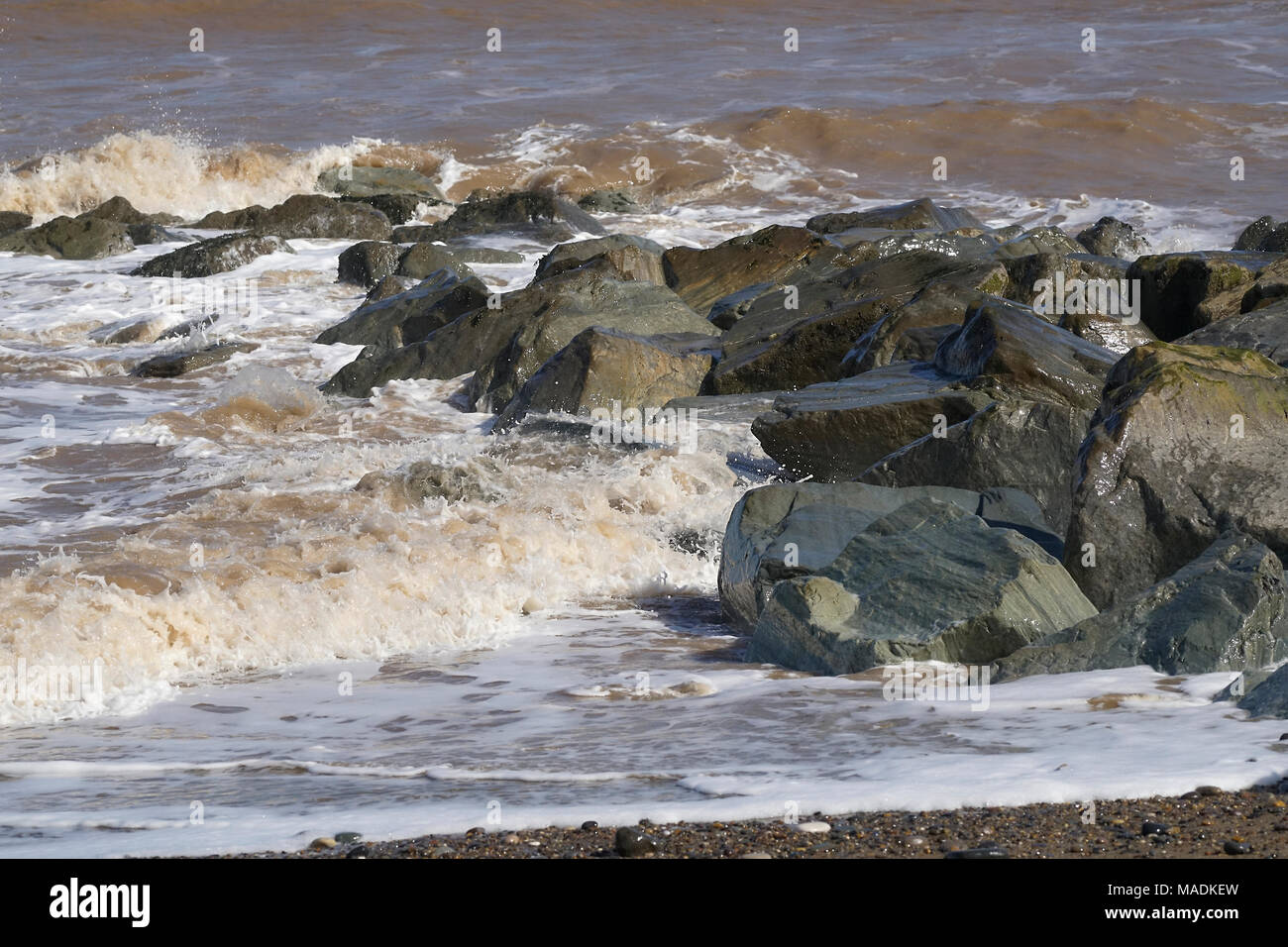 Spurn bird sanctuary hi-res stock photography and images - Alamy