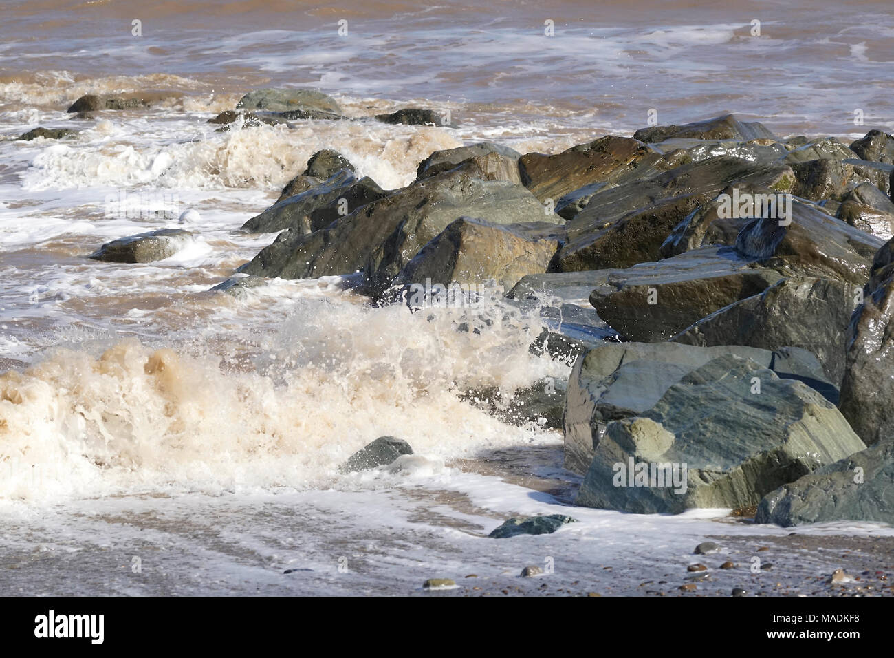 Spurn bird sanctuary hi-res stock photography and images - Alamy