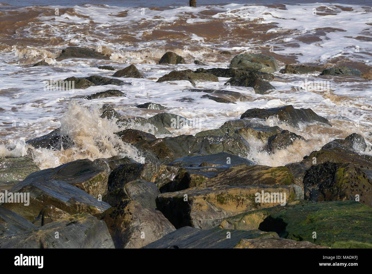 Spurn bird sanctuary hi-res stock photography and images - Alamy