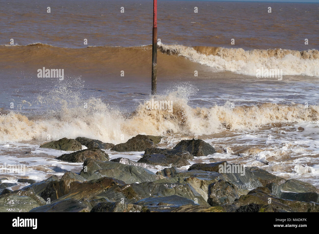 SPURN POINT WTHERNSEA BIRD WATCHING Stock Photo - Alamy