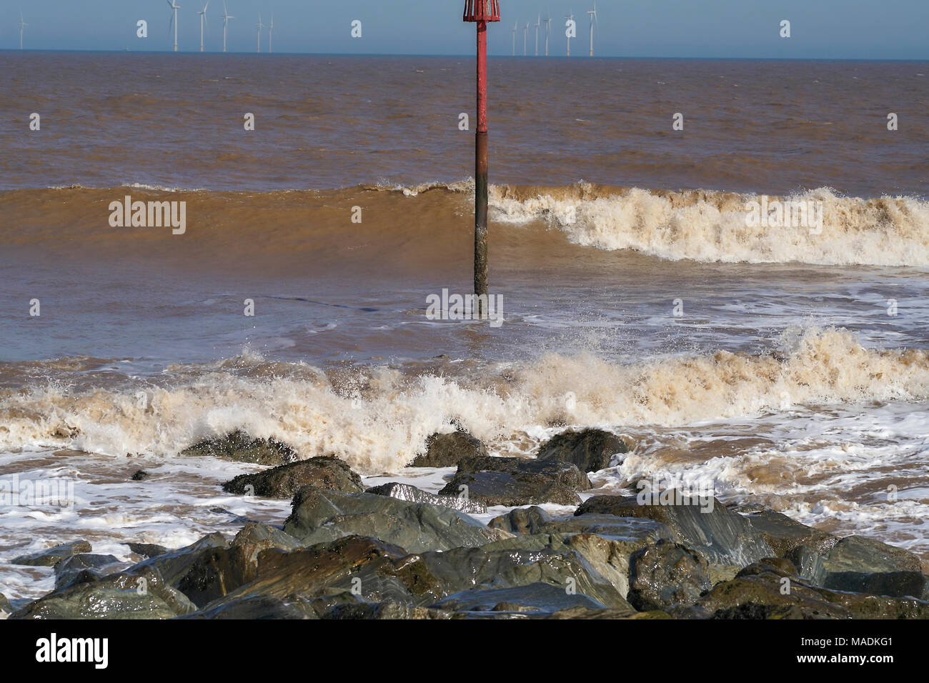 Spurn bird sanctuary hi-res stock photography and images - Alamy
