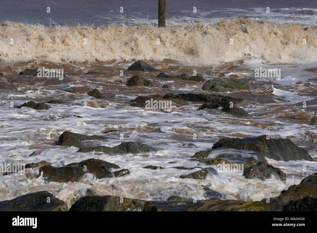 SPURN POINT WTHERNSEA BIRD WATCHING Stock Photo - Alamy