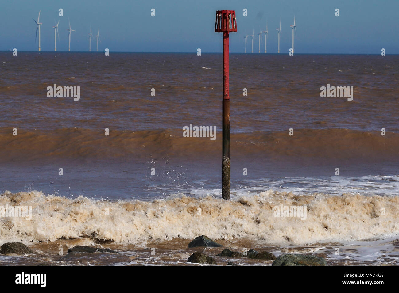 Spurn Bird Sanctuary High Resolution Stock Photography and Images - Alamy