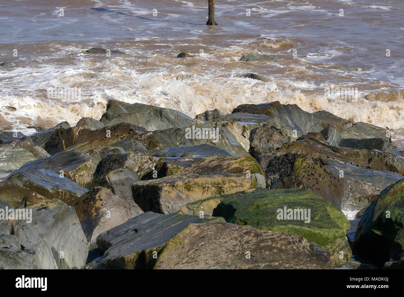 Spurn bird sanctuary hi-res stock photography and images - Alamy