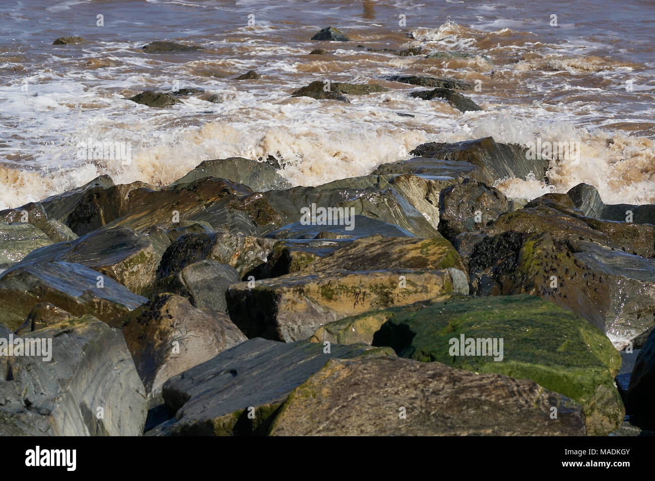 Spurn bird sanctuary hi-res stock photography and images - Alamy