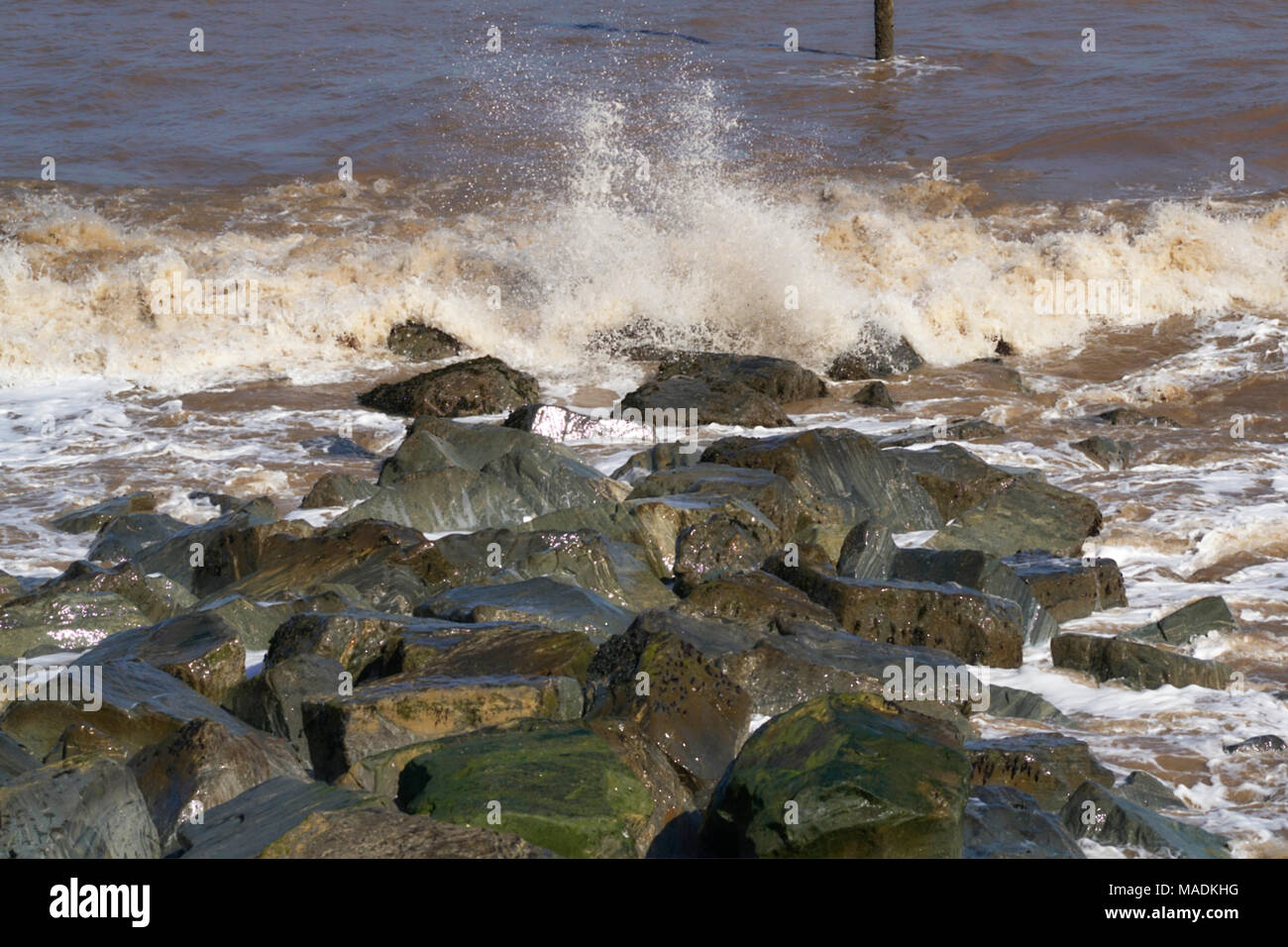 SPURN POINT WTHERNSEA BIRD WATCHING Stock Photo - Alamy