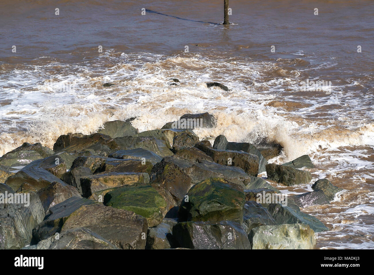 Spurn bird sanctuary hi-res stock photography and images - Alamy