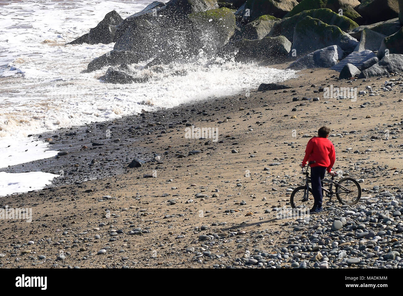 Boy pointing bird hi-res stock photography and images - Alamy