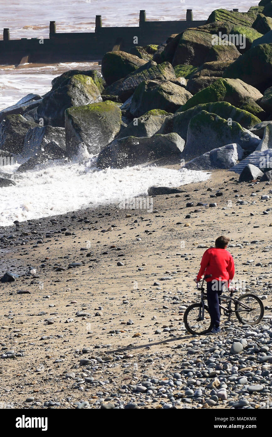 Boy pointing bird hi-res stock photography and images - Alamy