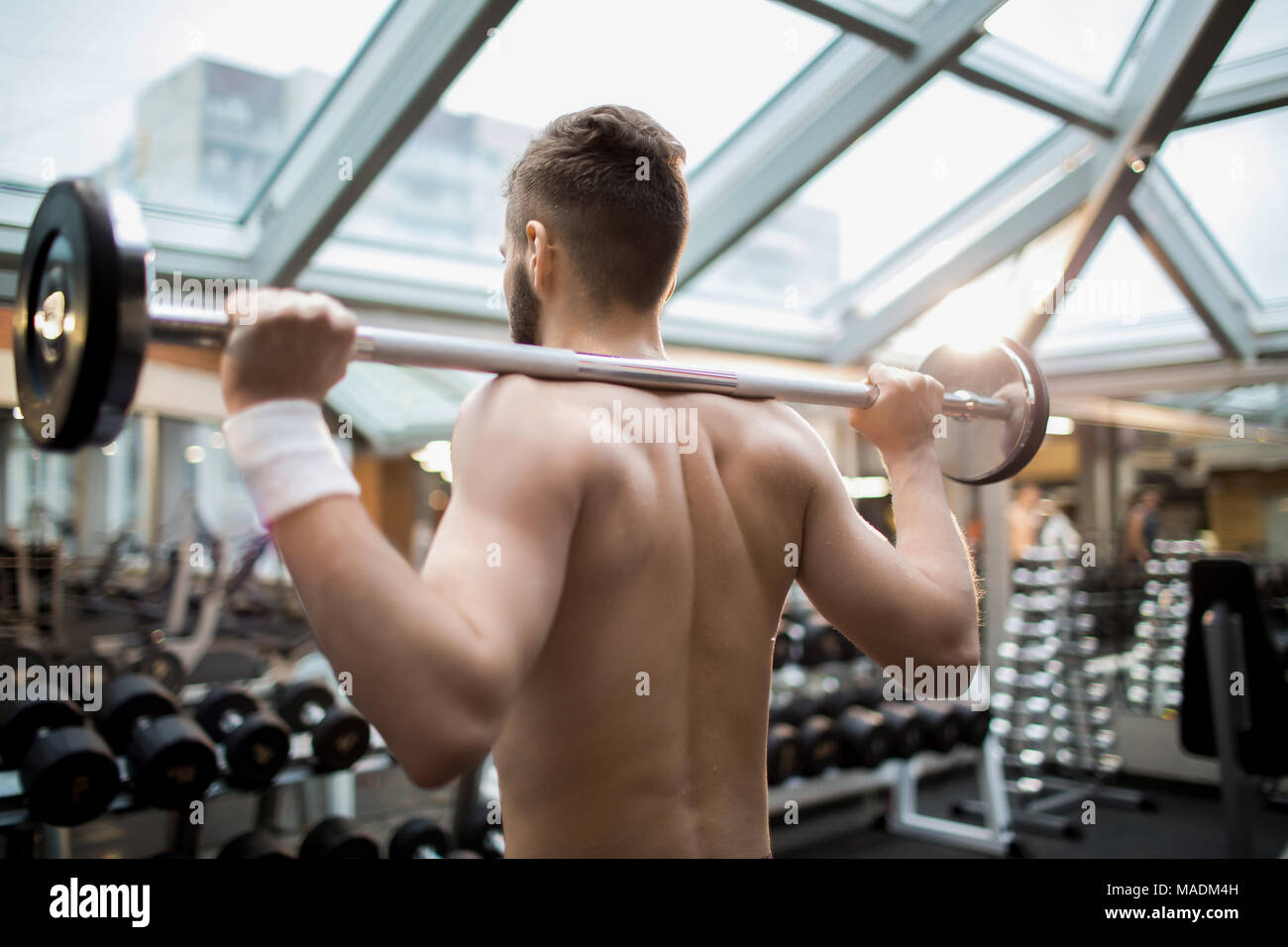 Back view of shirtless man keeping heavy barbell on his shoulders while ...