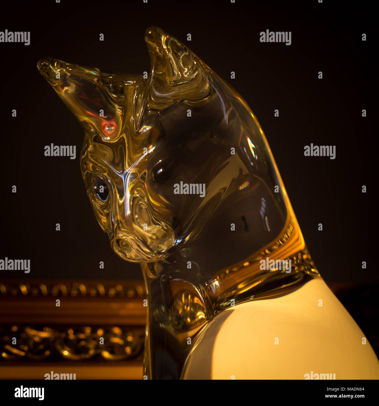 Reflective cat eyes hi-res stock photography and images - Alamy