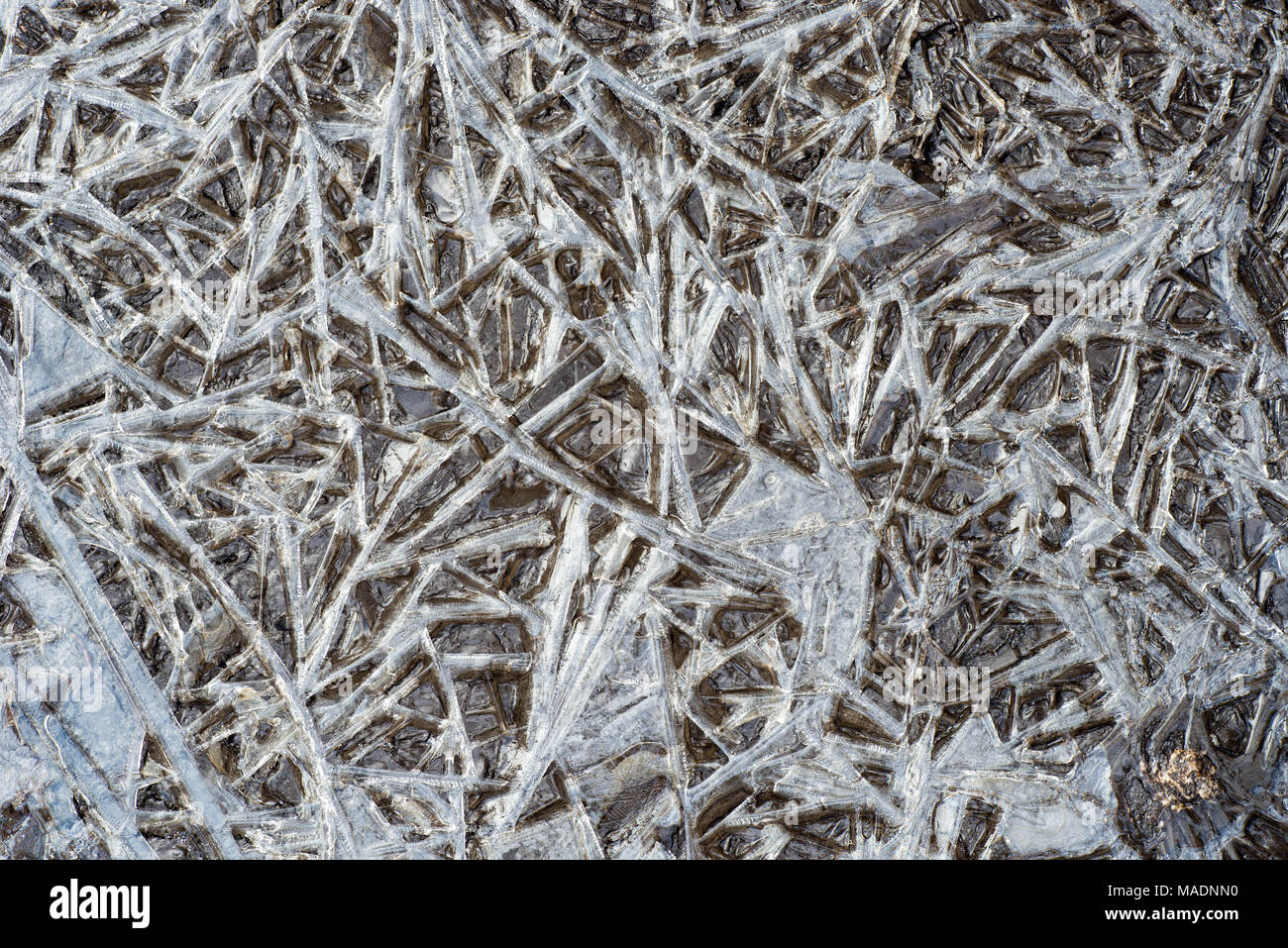 Frozen ice ground surface texture hi-res stock photography and images ...