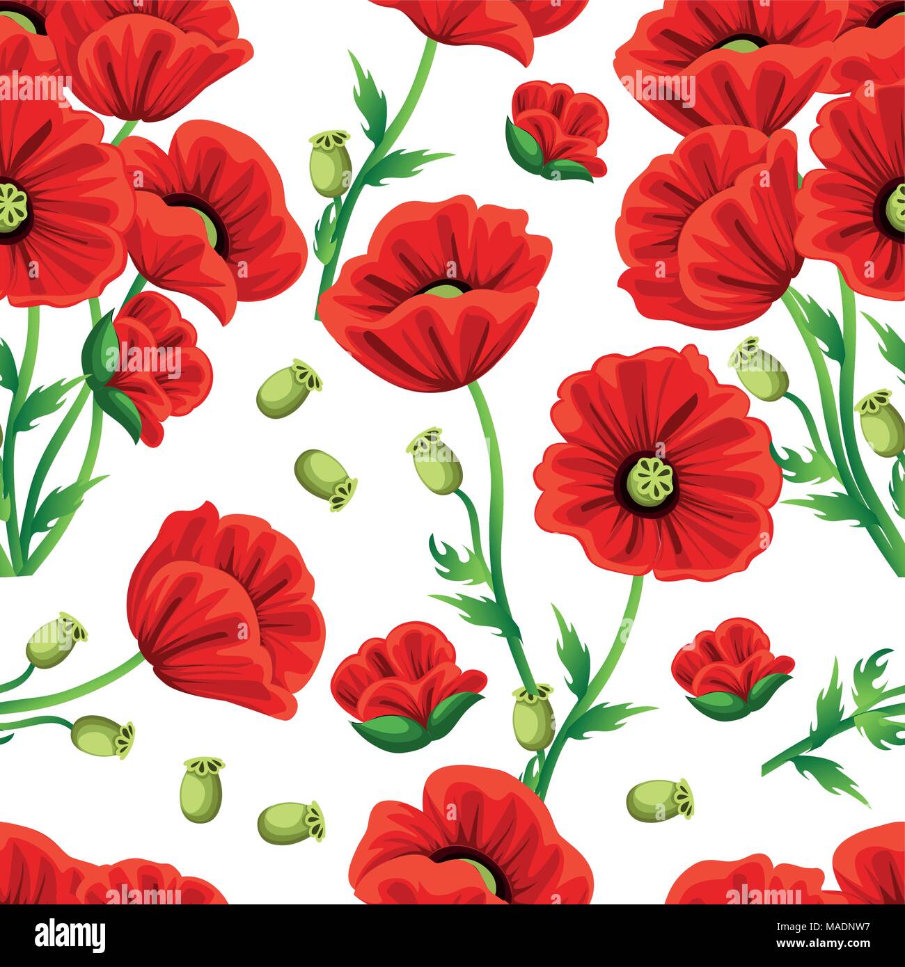 Seamless pattern. Red Poppy flower with green leaves. Vector ...