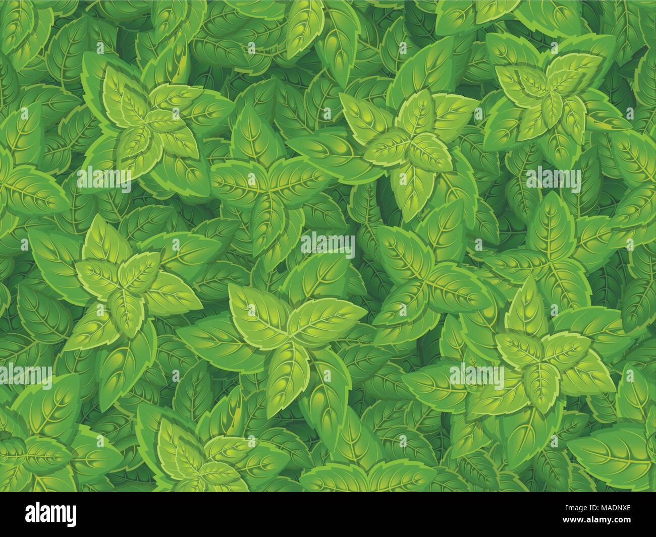 Horizontal pattern of green leaves. Various shapes of leaves of trees ...