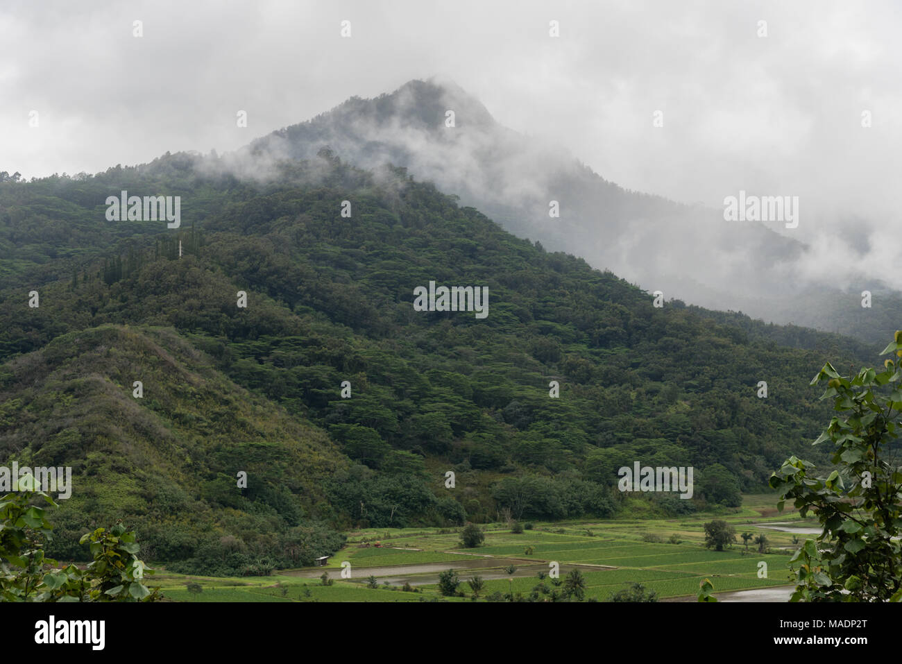 Hanalei Valley vista on Kauai, Hawaii, in winter after a major ...