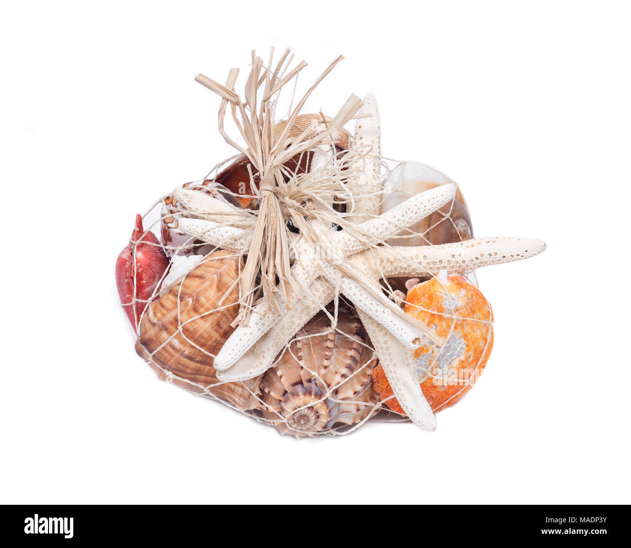 Decorative bag of various seashells from Red Sea isolated on white ...