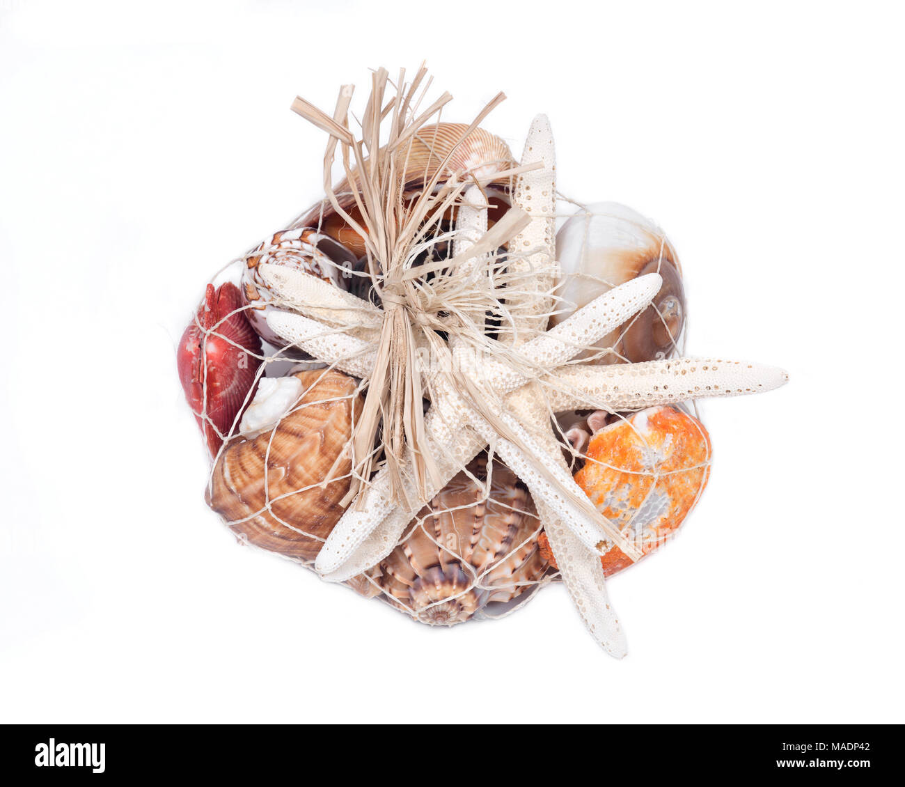 Decorative bag of various seashells from Red Sea isolated on white ...