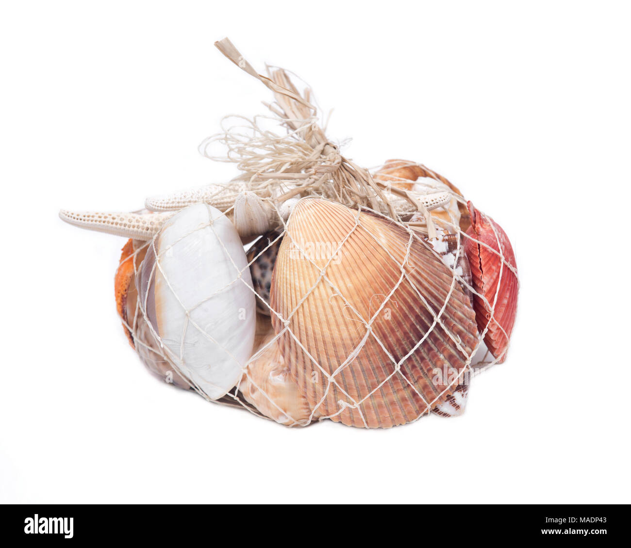 Decorative bag of various seashells from Red Sea isolated on white ...