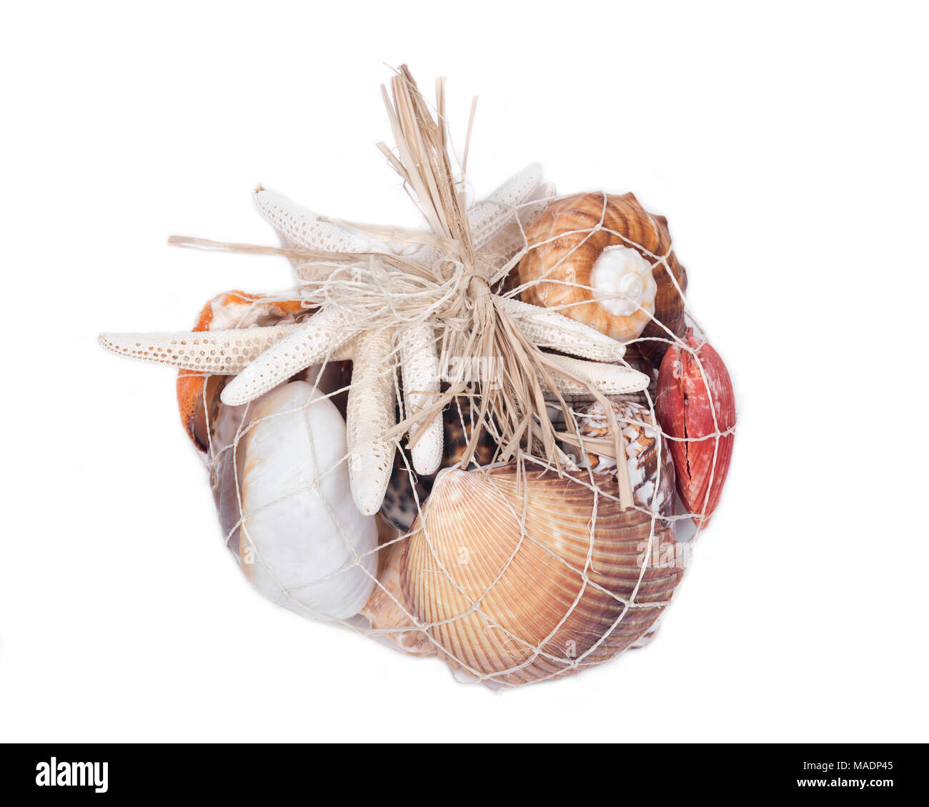Decorative bag of various seashells from Red Sea isolated on white ...