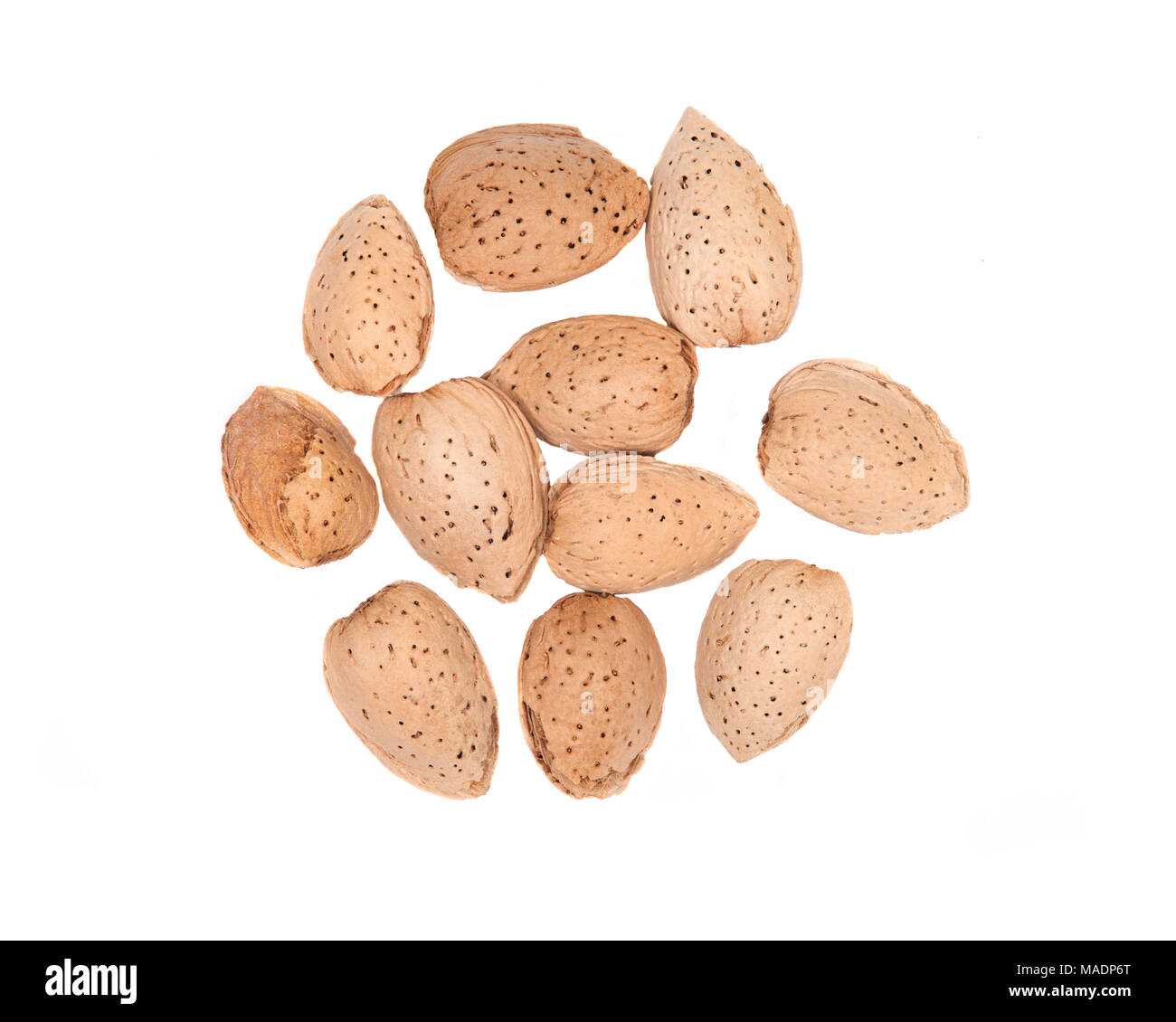Raw organic almonds in shell isolated on white background Stock Photo ...