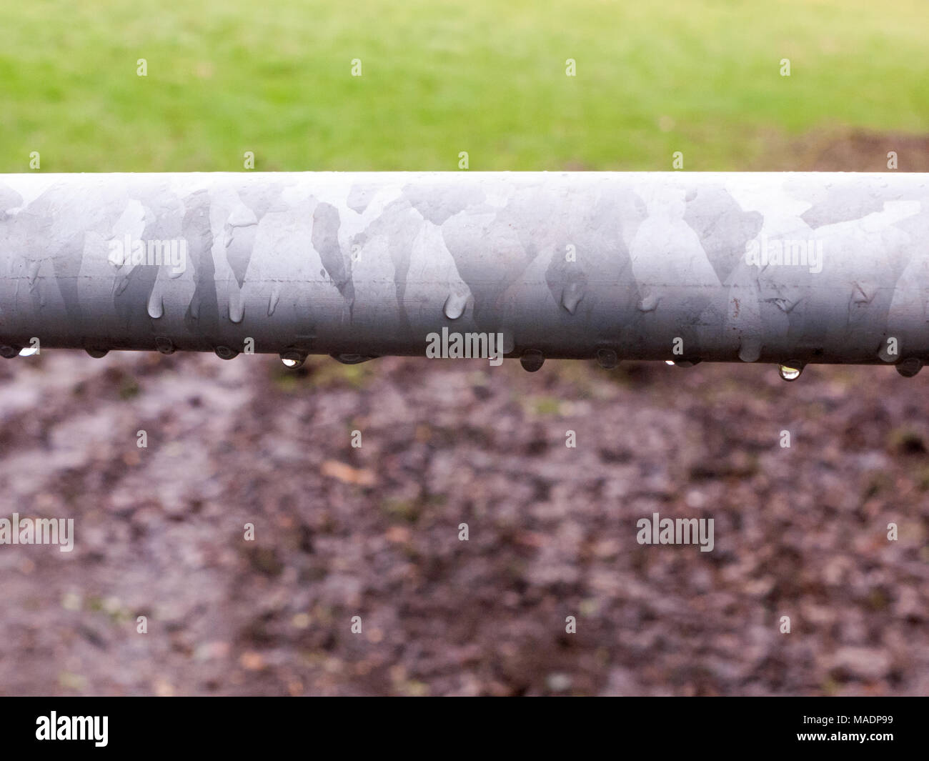rain drops water hanging on metal gate close up; essex; england; uk ...