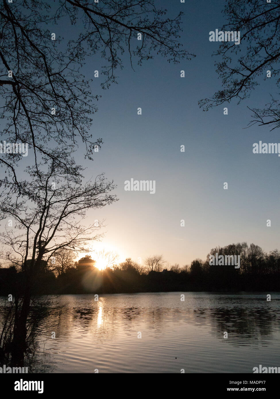 lake surface outside sunset nature landscape background; essex; england ...