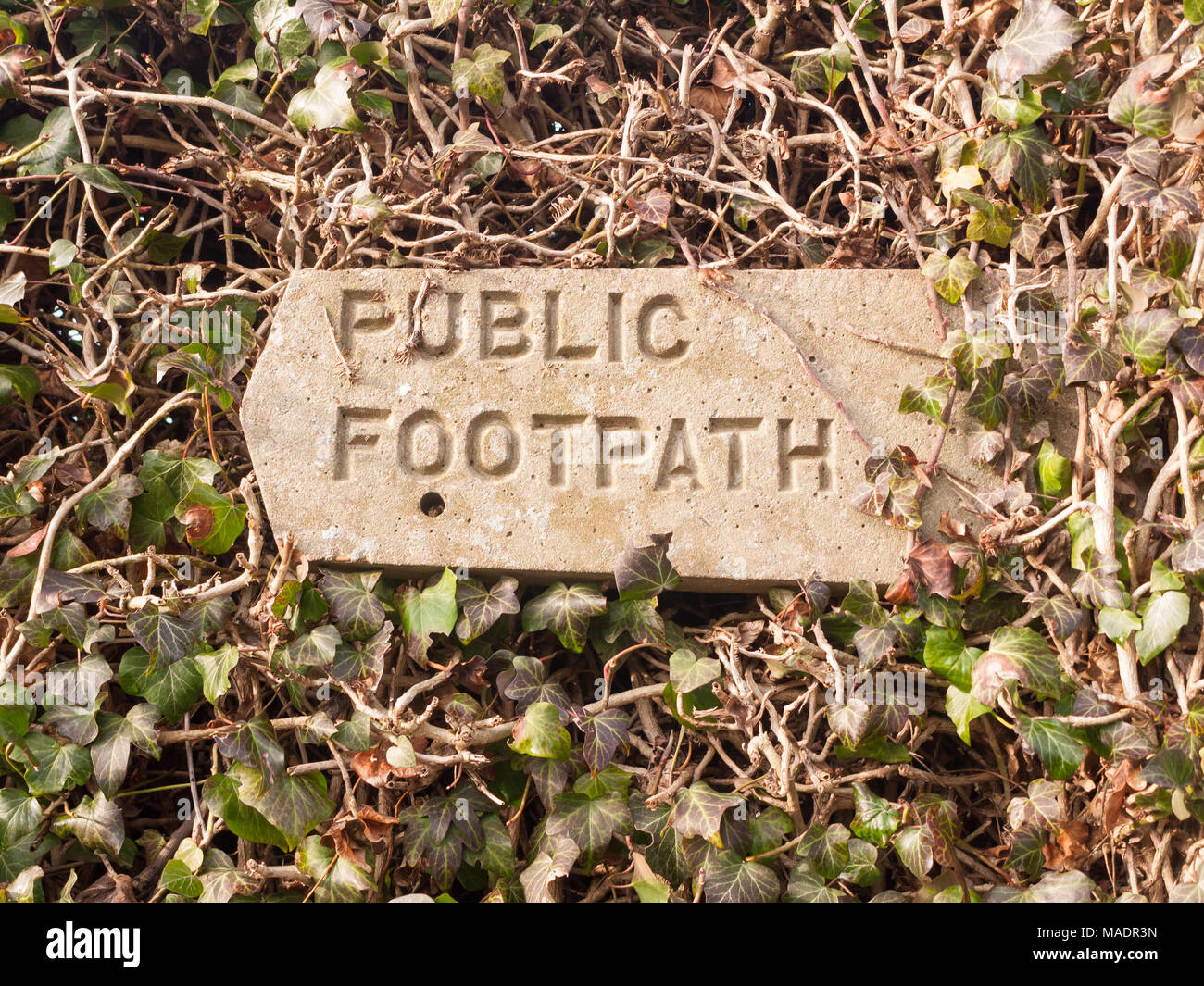public footpath sign post stone in hedgerow direction pointer; essex ...