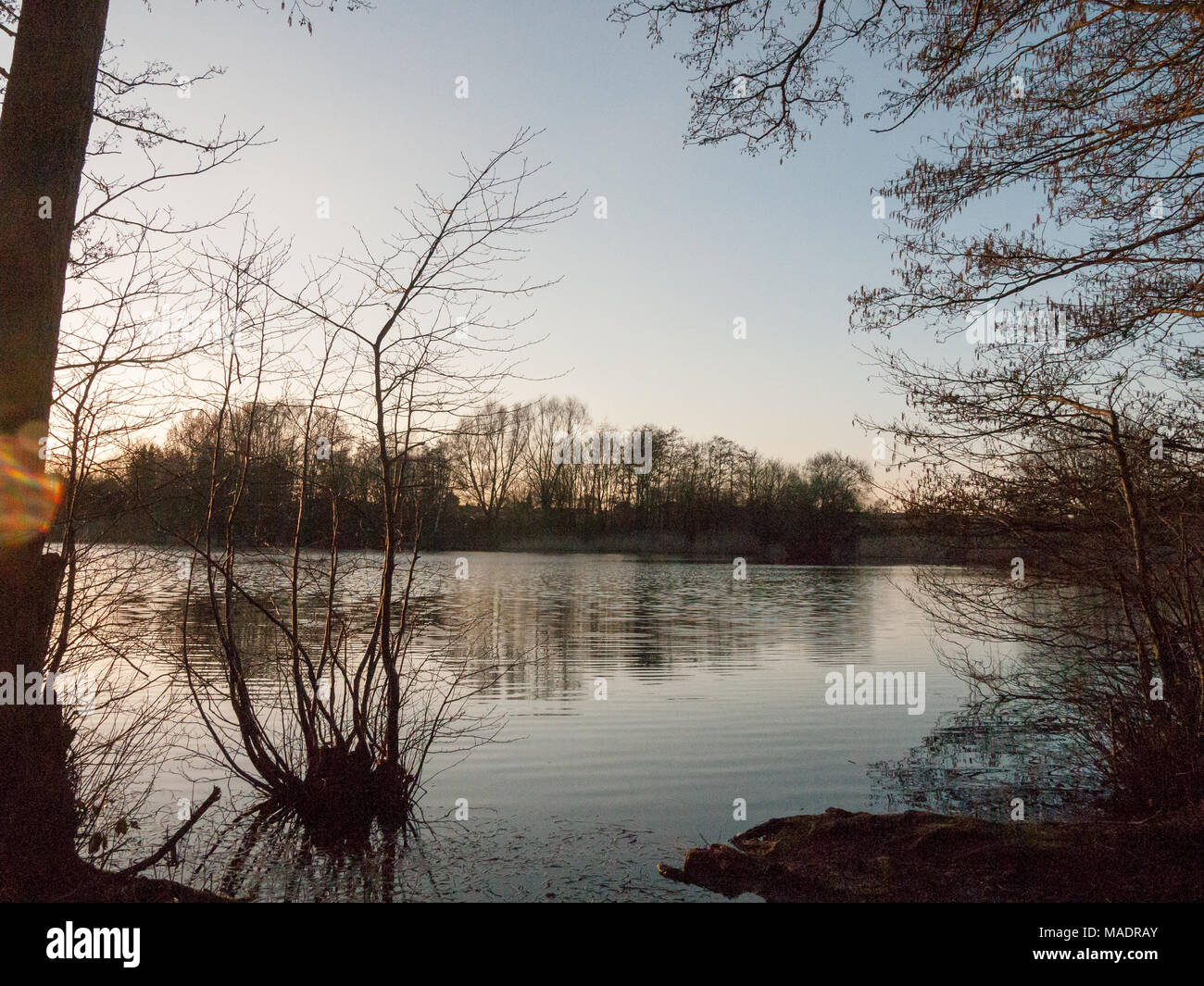 lake surface outside sunset nature landscape background; essex; england ...